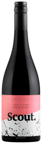 2022 Scout Pinot x Pinot | Vivino US