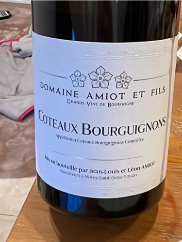 Domaine Pierre Amiot et Fils Coteaux Bourguignons | Vivino US