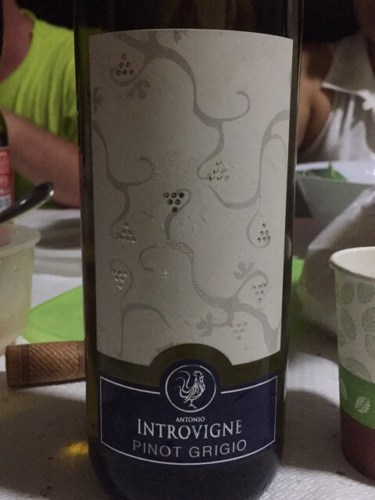 Antonio Introvigne Pinot Grigio | Vivino US