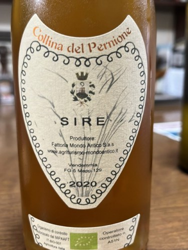 Fattoria Mondo Antico Collina del Pernione Sire | Vivino English