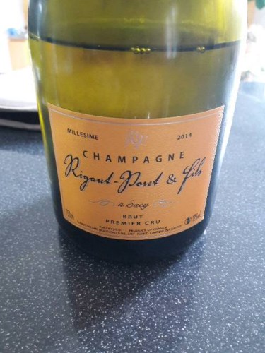 Rigaut Poret & Fils Millesime Brut Champagne Premier Cru | Vivino US