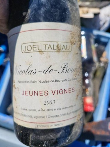 Joel Taluau Jeunes Vignes Saint-Nicolas-de-Bourgueil | Vivino US