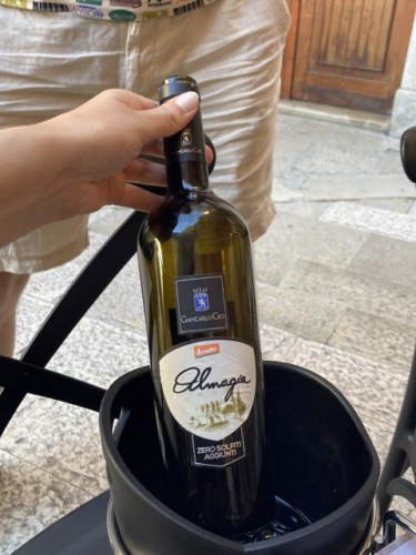 Giancarlo Ceci Almagia Zero Solfiti Aggiunti | Vivino US