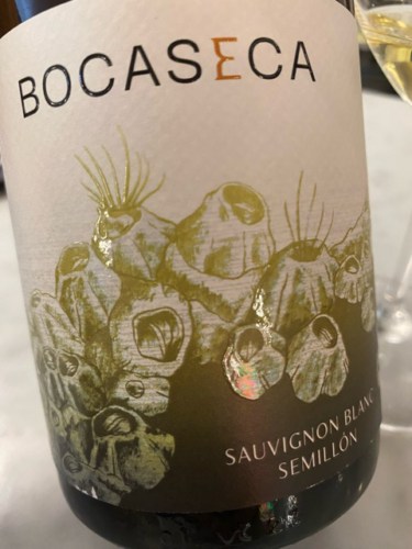 Bocaseca Sauvignon Blanc- Semillón | Vivino US