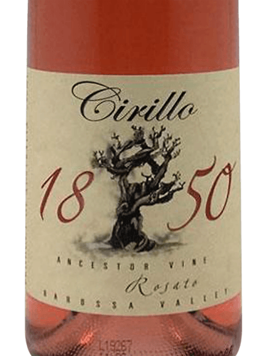 Cirillo 1850 Ancestor Vine Grenache Rosato | Vivino US