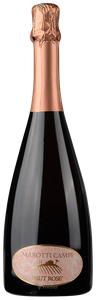 N.V. Marotti Campi Brut Rosè | Vivino English