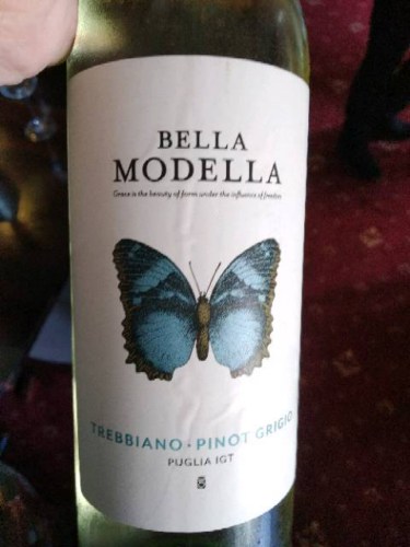 Bella Modella Trebbiano - Pinot Grigio | Vivino US