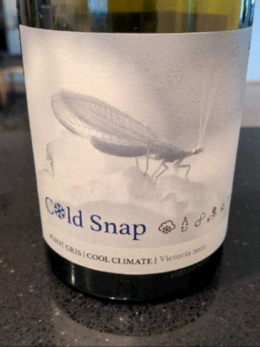 Cold Snap Pinot Gris | Vivino US