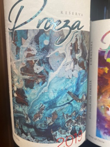 Viña Pons Raineri Proeza Reserva Sauvignon Blanc | Vivino US