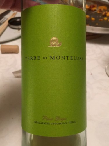 Terre di Montelusa Pinot Grigio | Vivino English
