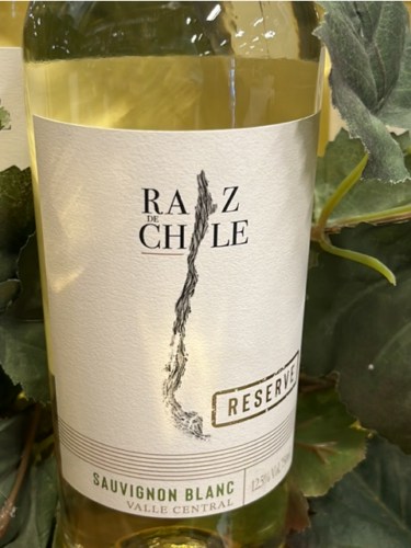 Raíz de Chile Reserve Sauvignon Blanc | Vivino Português (Brasil)