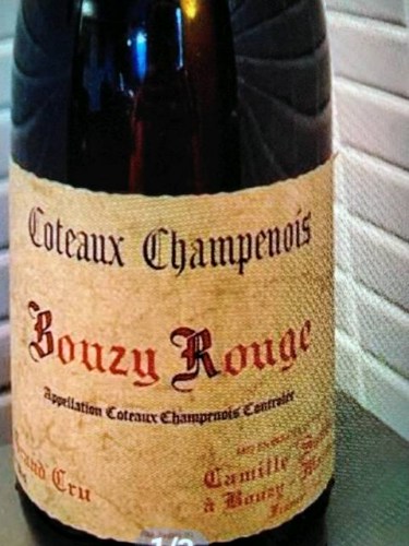 Bouzy Rouge Coteaux Champenois Grand Cru | Vivino Brasil