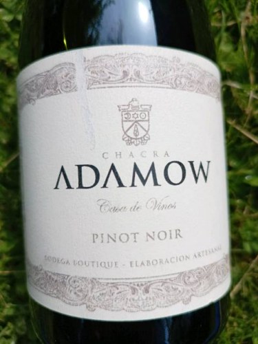 Bodega Adamow Pinot Noir | Vivino US