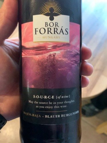 Pieroth Bor Forrás Mátraalja Ausbruch Blauer Spatburgunder | Vivino US