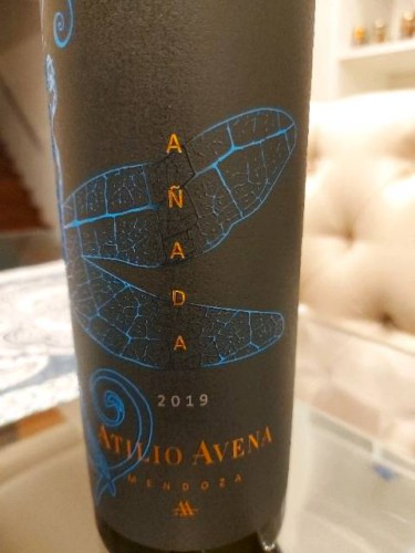 Atilio Avena Añada | Vivino US