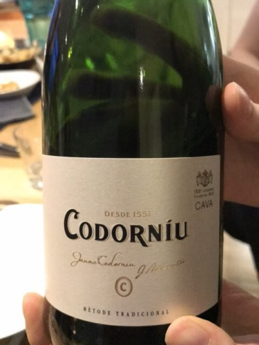 Codorníu Jaume Codorníu 450 Anniversary Brut Cava | Vivino US