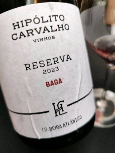 Hipólito Carvalho Vinhos Reserva Baga | Vivino US