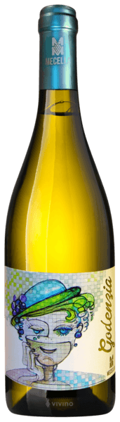 Cantine Mecella - Enzo Mecella Godenzia | Vivino Italia