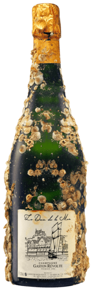 Gaston Révolte Le Don de La Mer Champagne Premier Cru | Vivino English