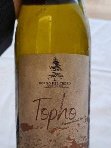 Lorenzo Costantini Borgo del Cedro Topho | Vivino US