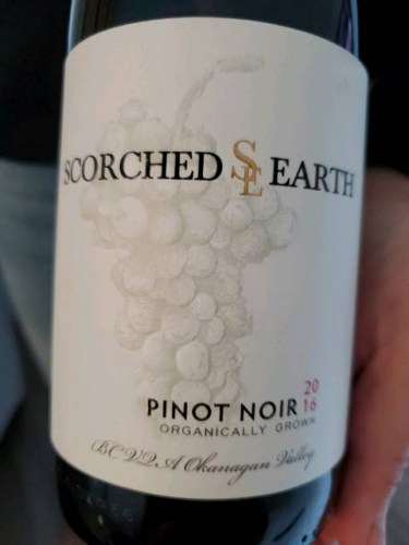 Scorched Earth Pinot Noir | Vivino Canada