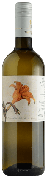 Marta Valpiani Bianco | Vivino US