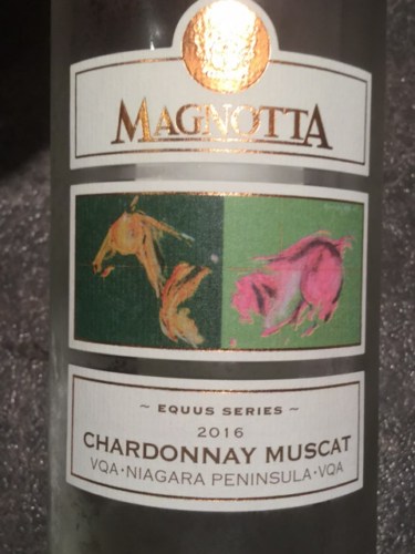 Magnotta Equus Series Chardonnay - Muscat | Vivino US