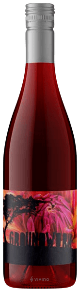 Sans Liege Wines Groundwork Counoise | Vivino English