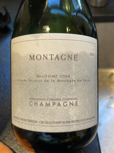 Raphaël et Vincent Bérêche Montagne Millésimé Champagne | Vivino US