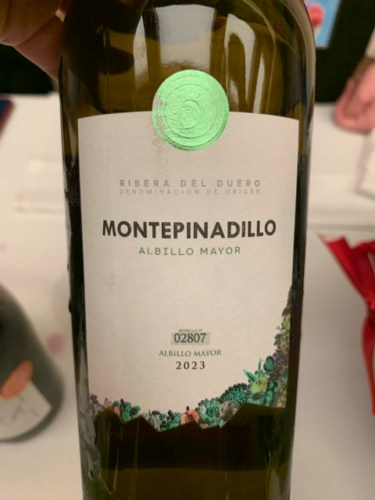 Monte Pinadillo Albillo Mayor | Vivino US