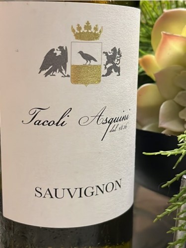 Tacoli Asquini Sauvignon | Vivino Português (Brasil)