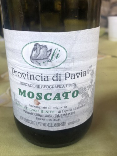 Cignoli Benito Barbera Provincia di Pavia | Vivino Canada