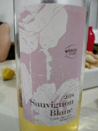 Baco Club Sauvignon Blanc | Vivino English