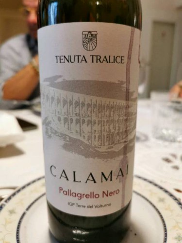Tenuta Tralice Calamai Pallagrello Nero | Vivino US