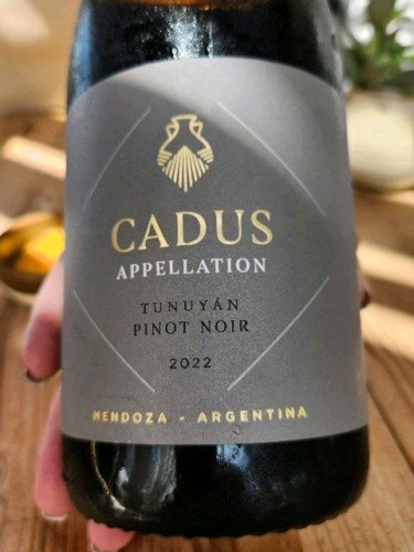 Cadus Pinot Noir | Vivino US