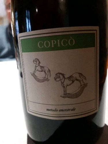 Uccellaia Copicò Metodo Ancestrale | Vivino