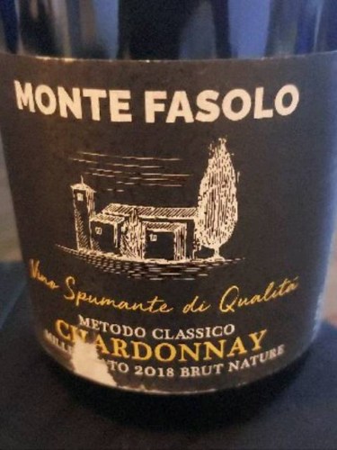 Monte Fasolo Chardonnay Brut Nature | Vivino US