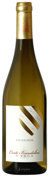 Conte Brandolini Sauvignon | Vivino Australia