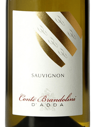 Conte Brandolini Sauvignon | Vivino Australia