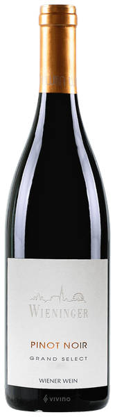 2017 Wieninger Grand Select Pinot Noir | Vivino US