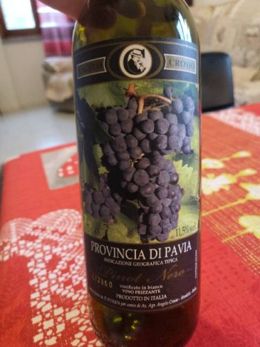 Angelo Crosio Provincia di Pavia Pinot Nero | Vivino US