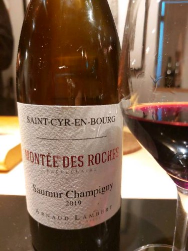 2019 Domaine Arnaud Lambert Montée des Roches Saumur-Champigny | Vivino US
