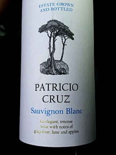 Patricio Cruz Sauvignon Blanc | Vivino English