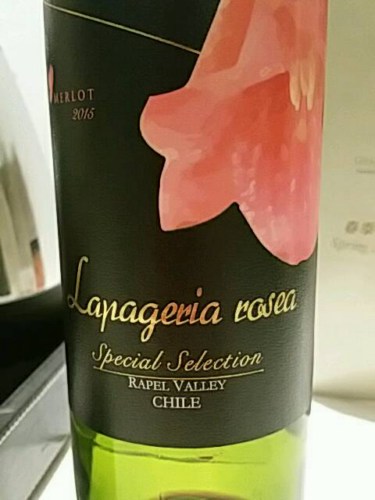 Lapageria Rosea Special Selection Merlot | Vivino US