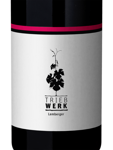 Triebwerk Lemberger Trocken | Vivino US