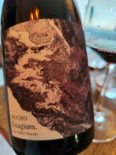 Pedro Martin Exagium Tinto | Vivino US
