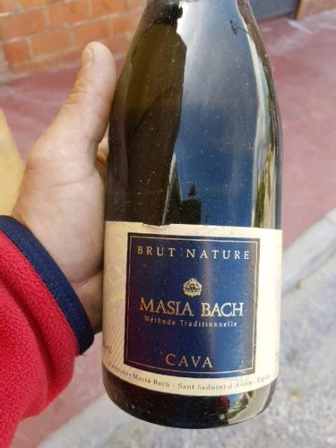 Bach Cava Brut Nature | Vivino US