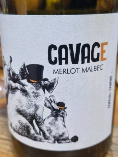 Georges Vigouroux Cavage Merlot - Malbec | Vivino English