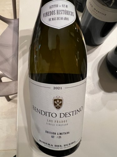 Bendito Destino Los Prados Single Vineyard Blanco | Vivino US