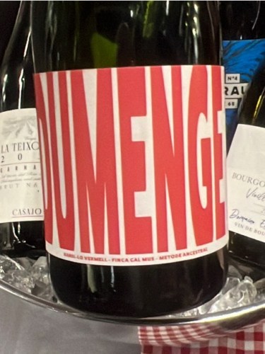 Dumenge Sumoll Finca Cal Mus Mètode Ancestral | Vivino US